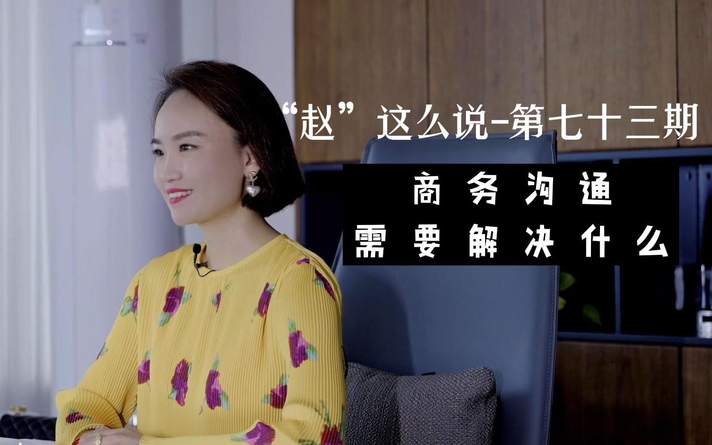 《赵这么说》第73期:商务沟通需要解决什么