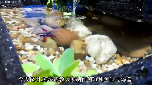 制作鱼缸和鱼缸过滤器