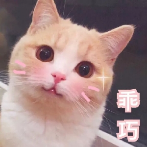 小小梦-空山 