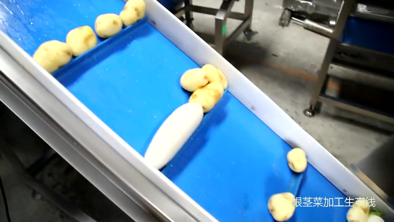 中央厨房净菜加工生产线,开启不一样的视觉画面