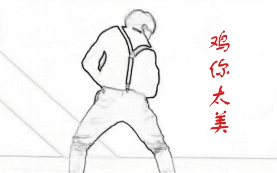 《鸡你太美》 多少有几分相似 如何利用Python代码来绘图