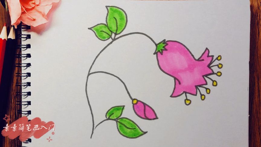 儿童亲子绘画教程,简易风景画,山间花朵,风铃花