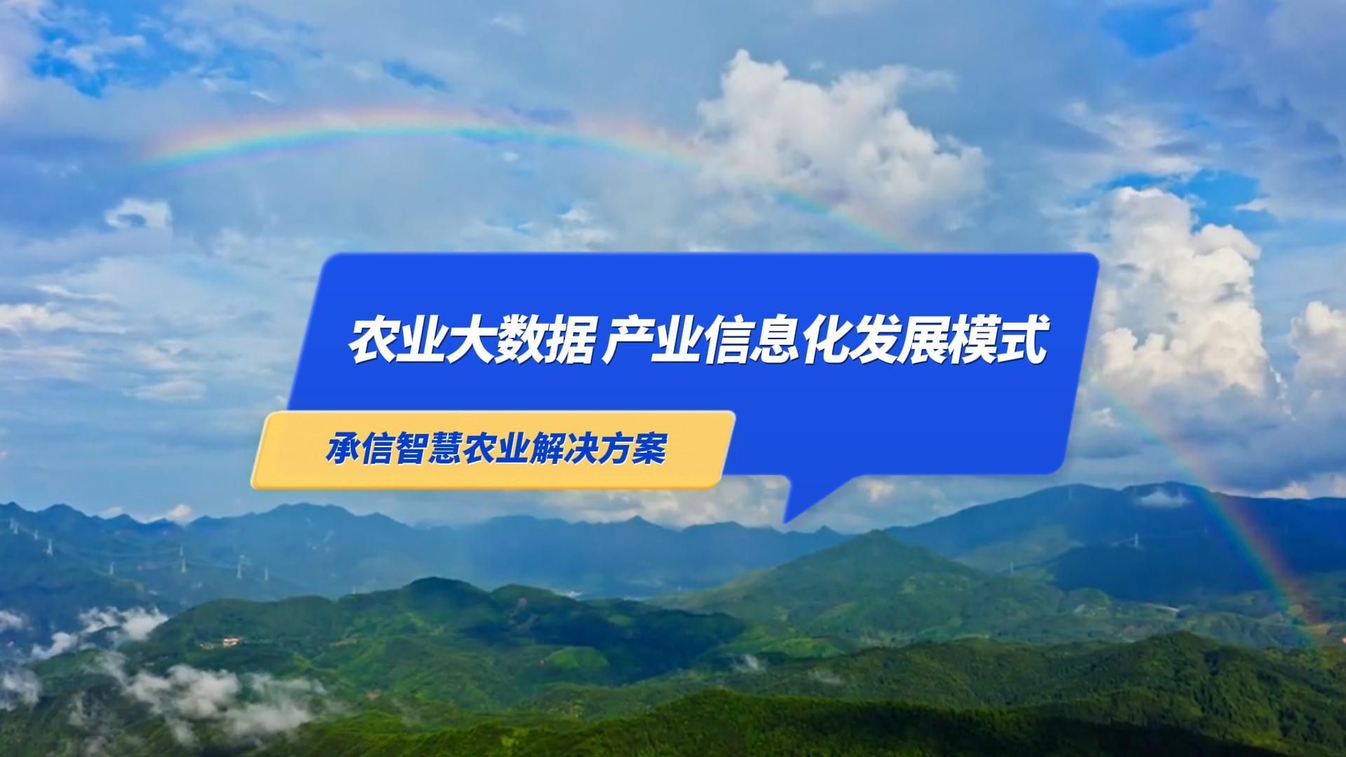 农业大数据—产业信息化发展模式