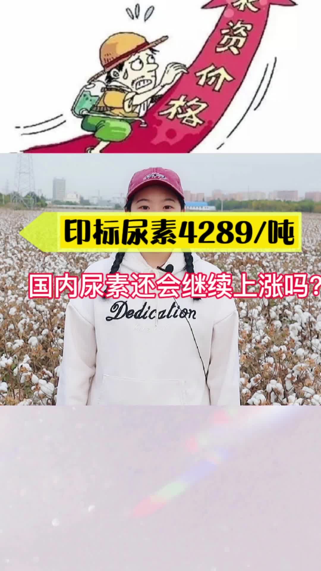 印度招标尿素4289/吨,国内尿素还会继续上涨吗?#尿素#化肥价格 #...