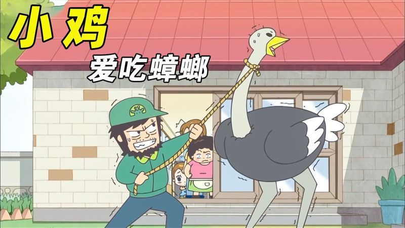 小鸡不爱吃米饭,只爱吃蟑螂!《咕咕鸡》