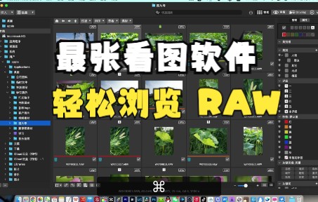 可以轻松打开索尼 A7M4等相机拍摄的 RAW 图片的好用软件