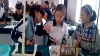 氢氧化钠与酚酞反应