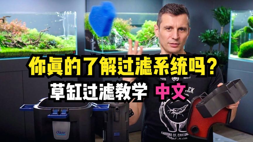 [中文] 你真的了解过滤系统吗?草缸过滤系统教学 GreenAqua