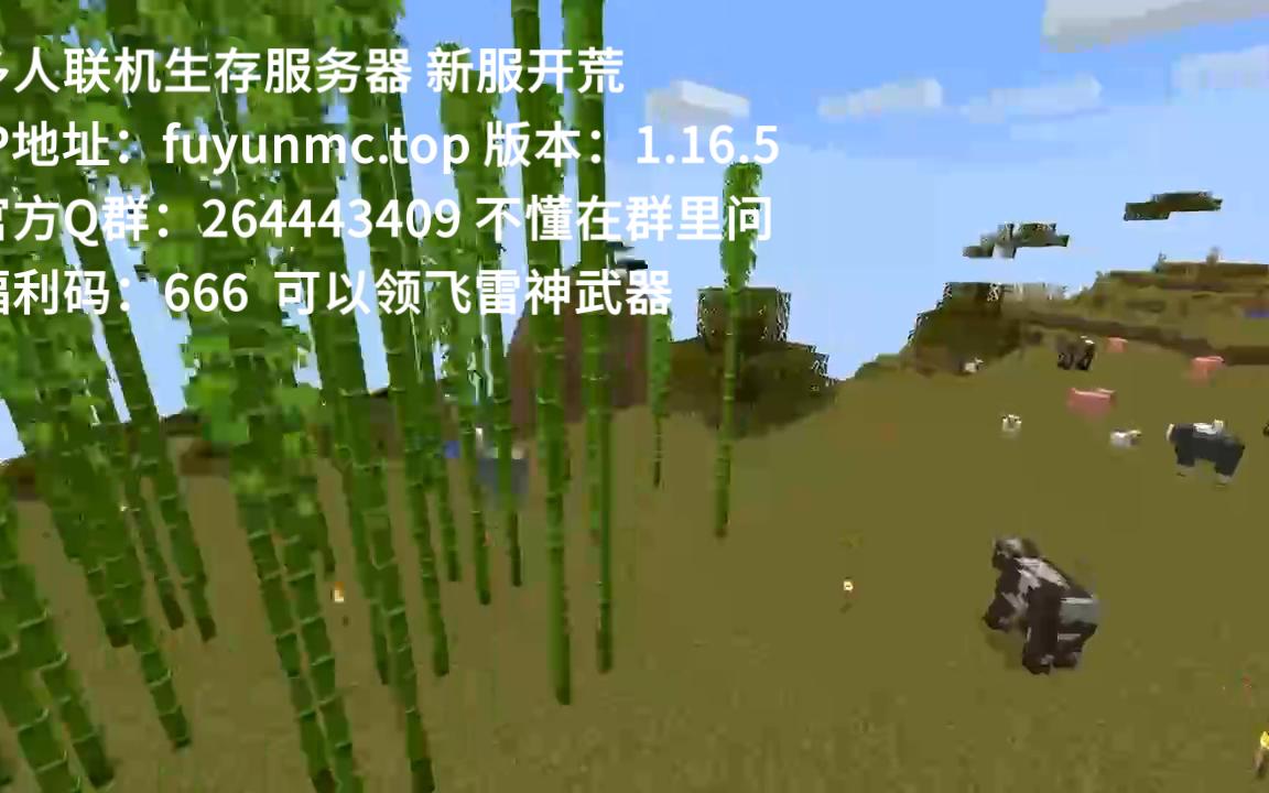 mc服务器内测送武器装备!仅限10个名额!大家快来!