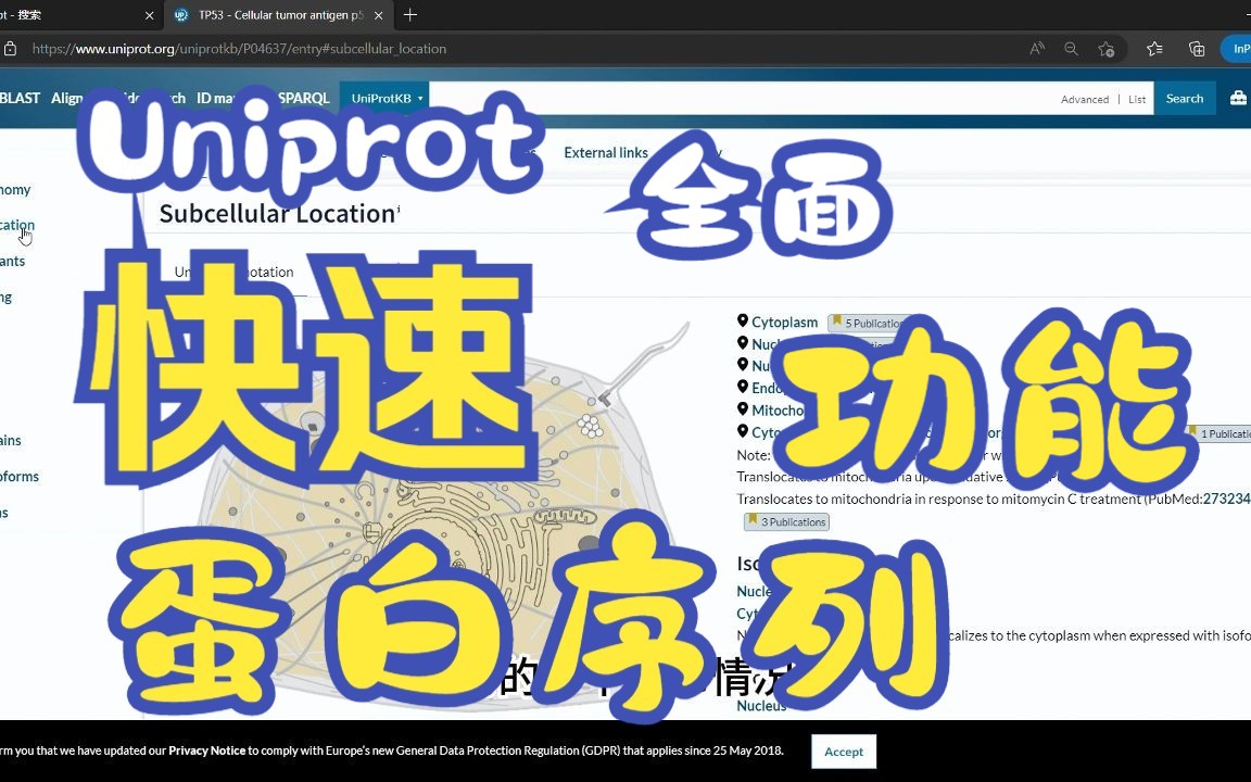 找不到科研方向?uniprot 6分钟全面了解-快速了解一个蛋白的功能,快速...