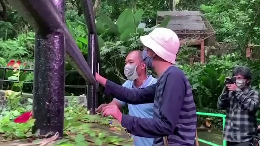 30秒|印尼动物园因疫情食物紧缺 恐宰杀一些动物来喂养食肉动物