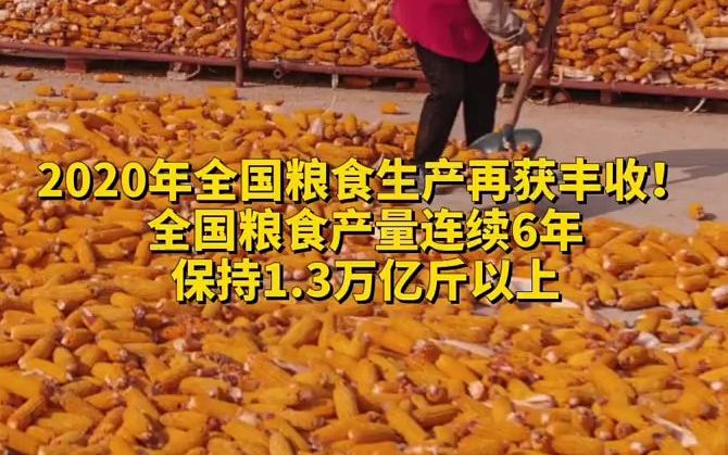 我国粮食生产实现了“十七连丰”!2020年全国粮食总产量为13390亿斤