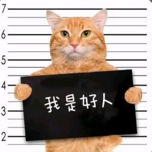 王者荣耀大嘴雀