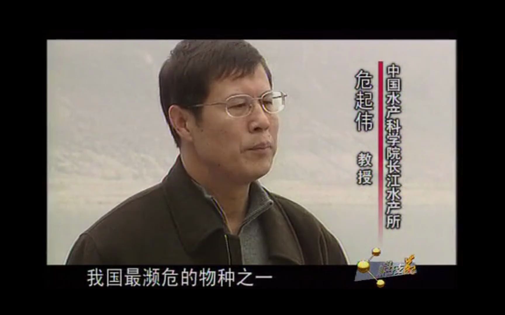 《抢救大白鲟》(2003)