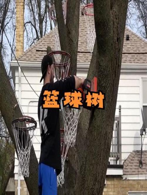 一棵“长满”篮球框的树,以不同的方式投篮后,结果连续命中20次