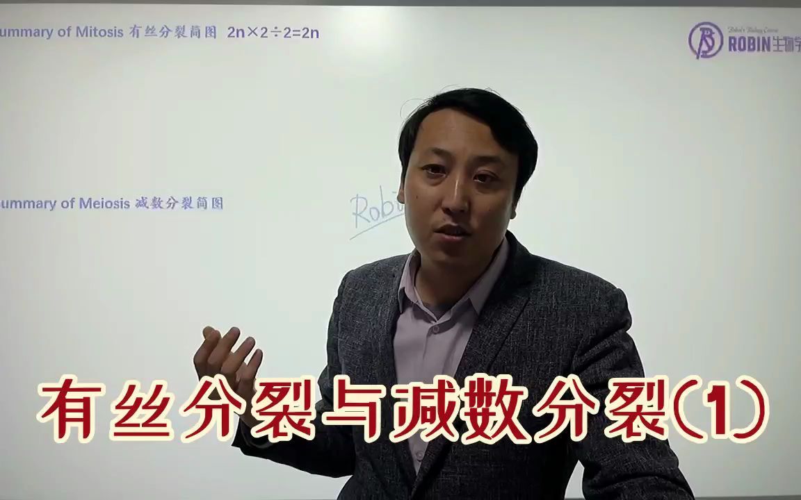 019有丝分裂与减数分裂(1) 高中生物 必修二 第2章
