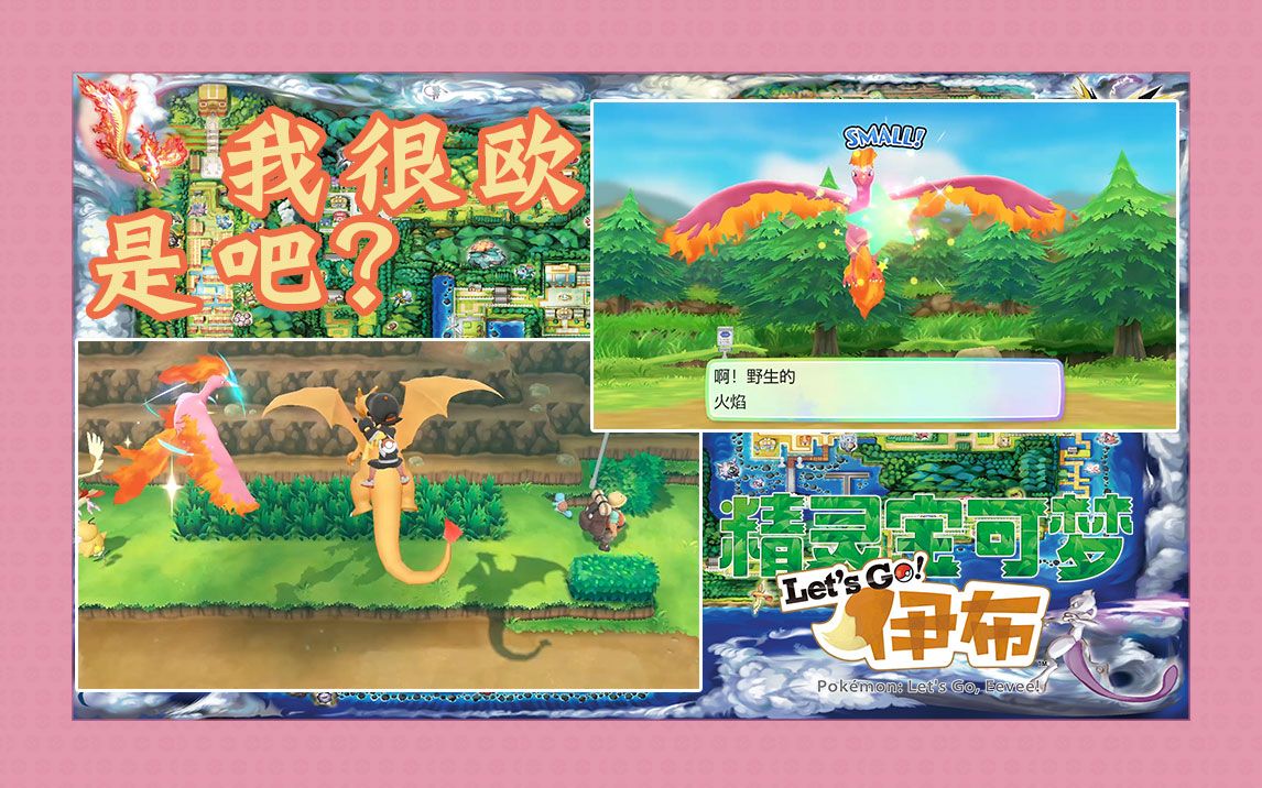 【人生有梦 各自精彩】宝可梦Let'sgo伊布 闪光火焰鸟 只是想连锁杰尼...