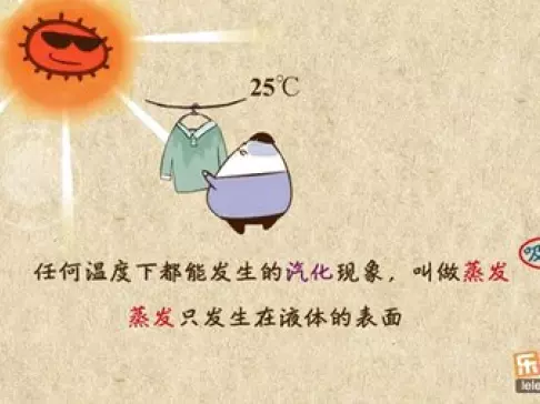 初中物理:蒸发现象及其特点