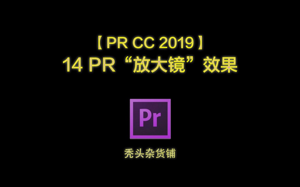 【PR CC 2019】14 PR“放大镜”效果