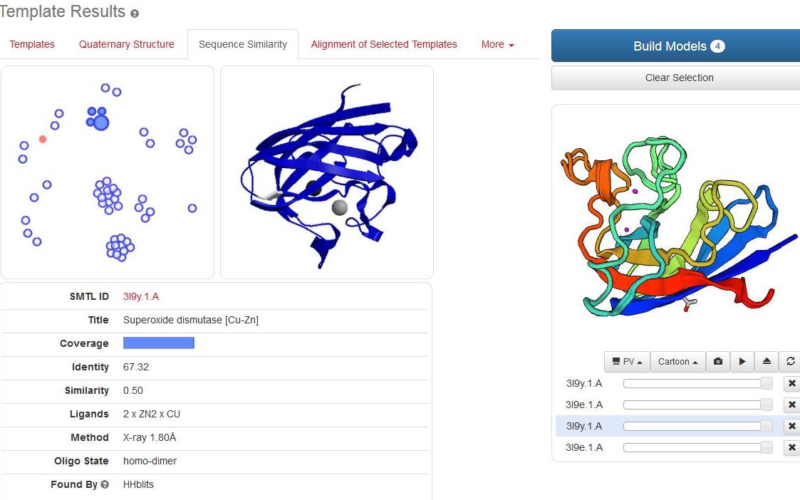 SWISS-MODEL官方视频教程
