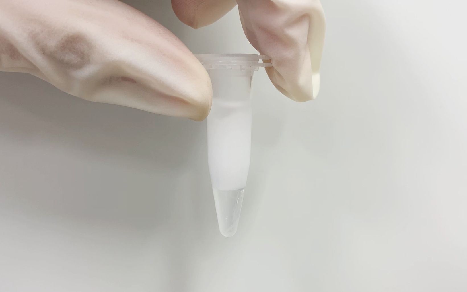 无二甲苯脱蜡凡知组织石蜡切片DNA高通量自动化提取