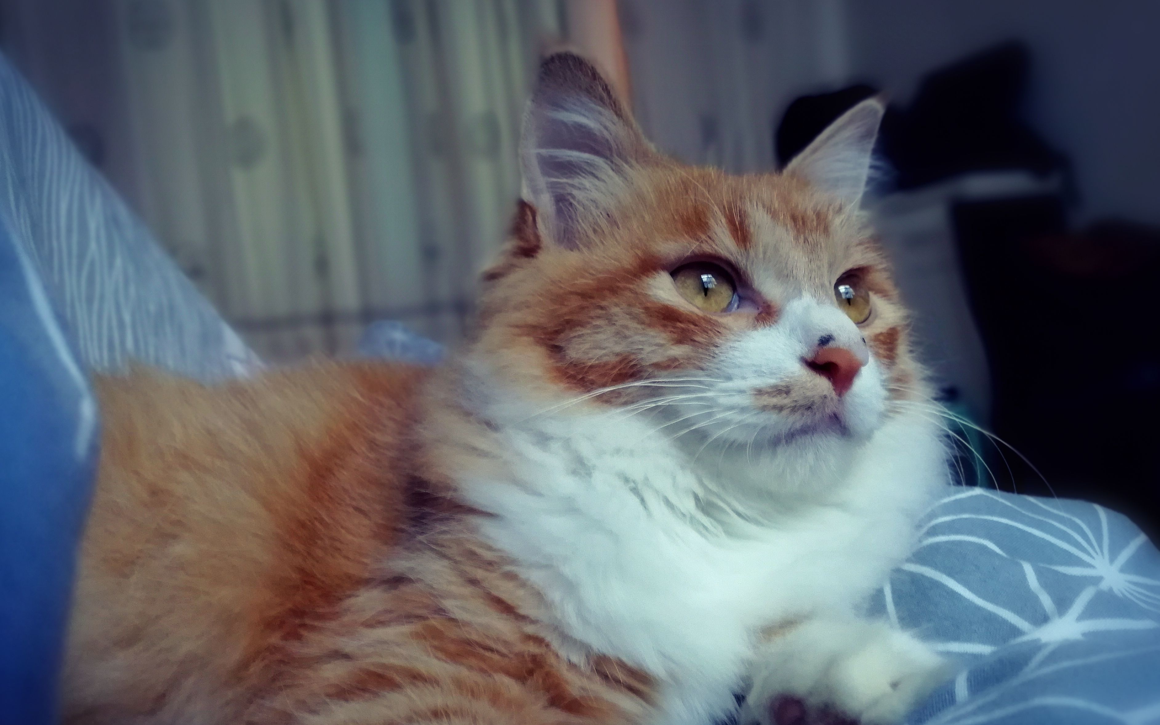 【照片集】90后社畜的摄影之路