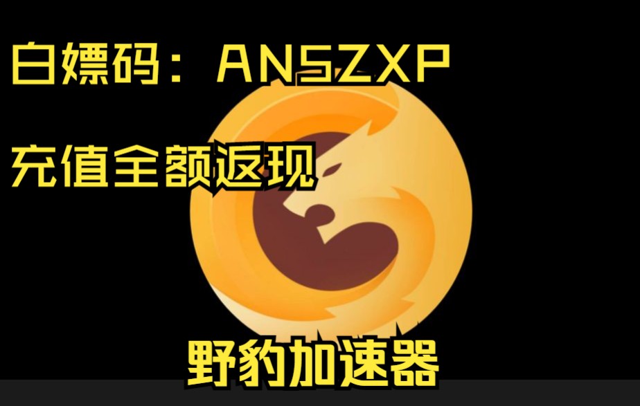 野豹加速器,不仅能白嫖,而且充多少返多少