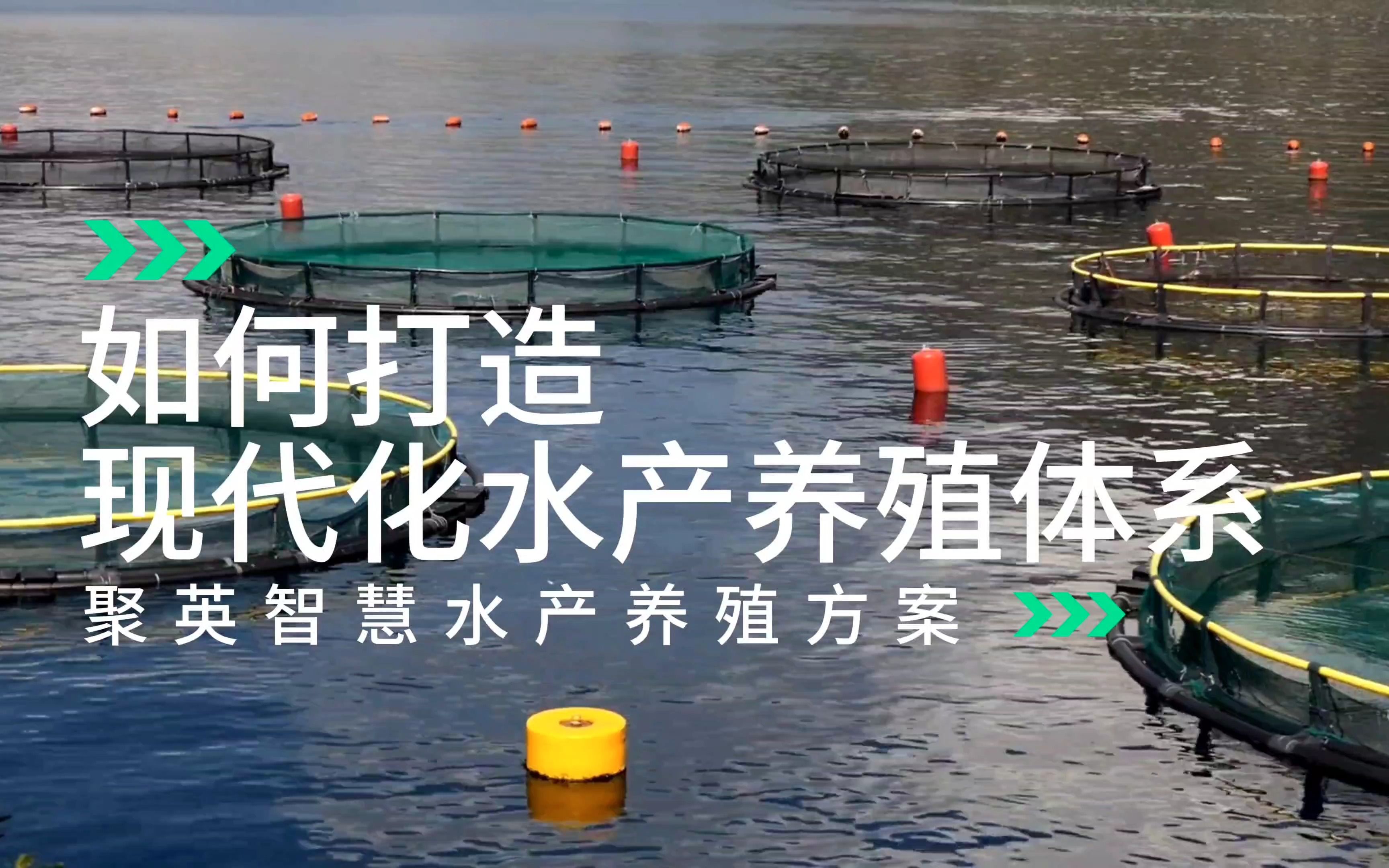 智慧水产养殖监控系统是是什么