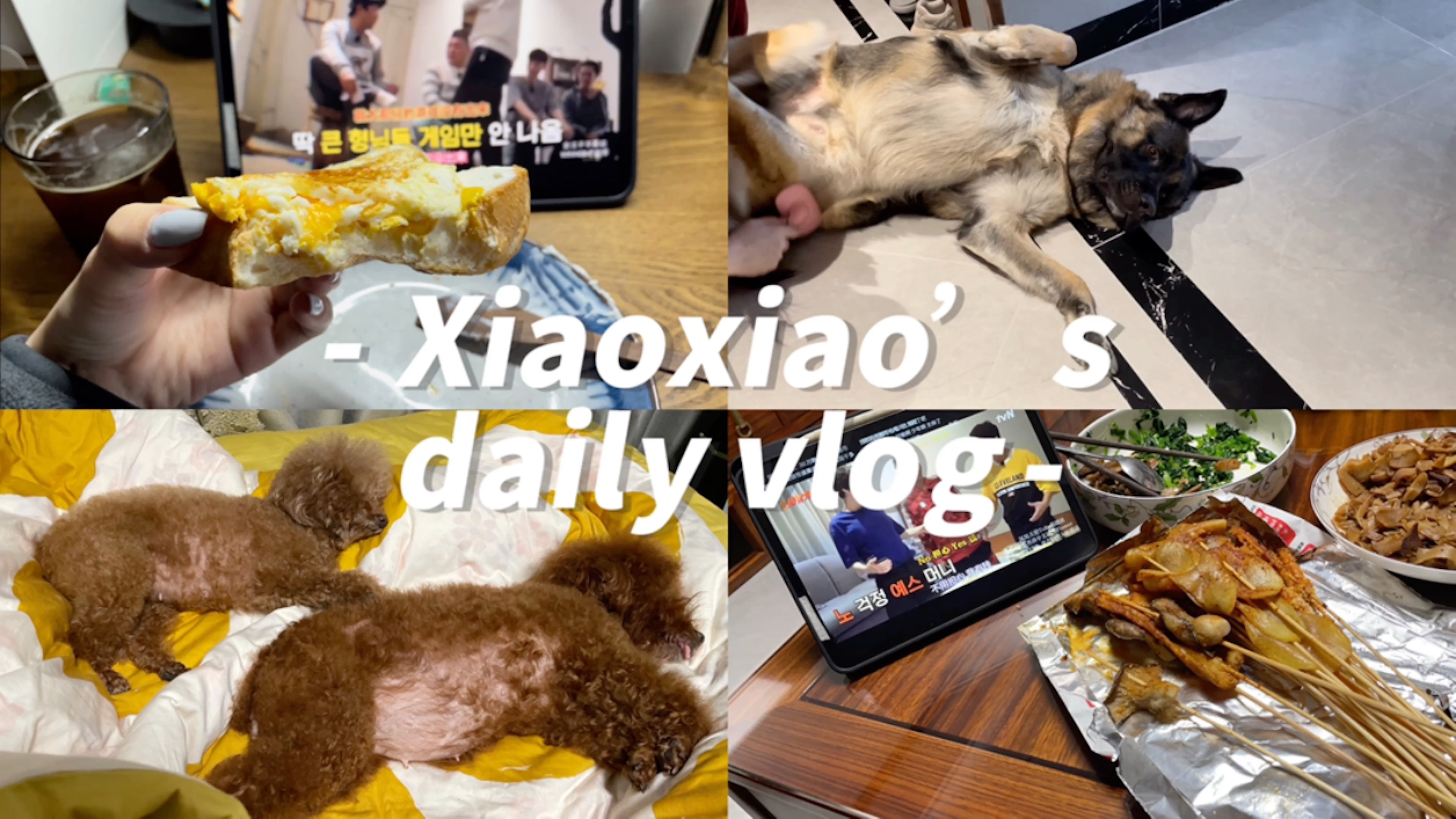 ...丨非典型性社科类研究生生活|写论文|螺蛳粉|夜曲编程|python|深夜炸串