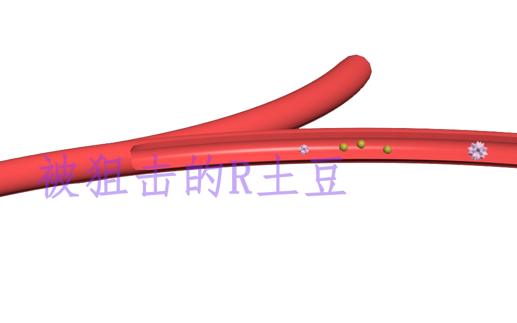3d max 3步5分钟画分叉血管