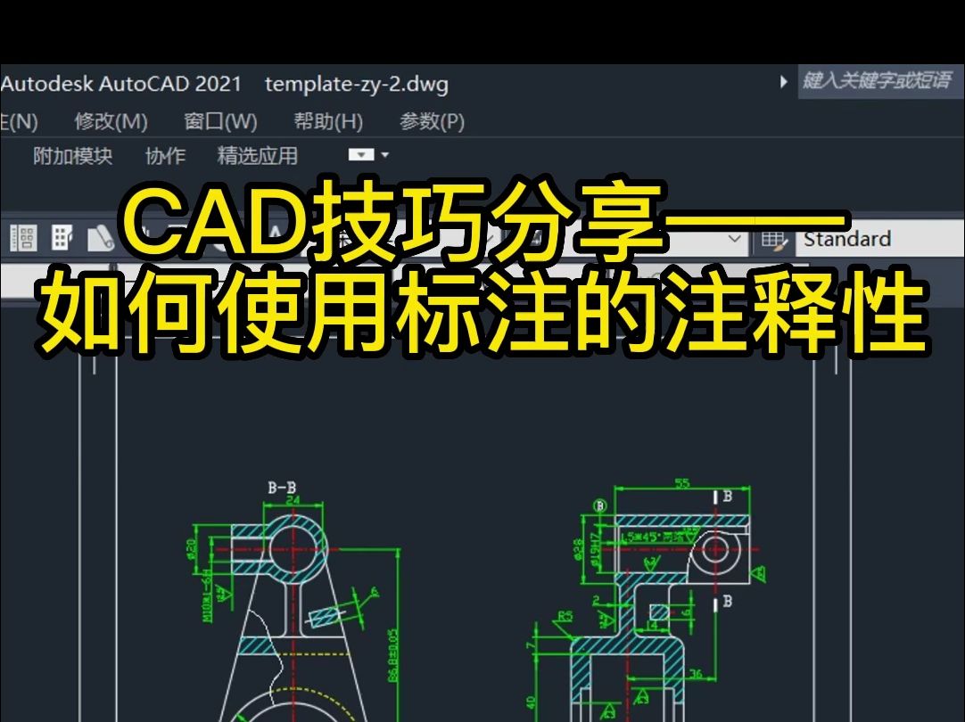 如何使用标注的注释性