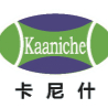 卡尼什低氮冷凝锅炉 