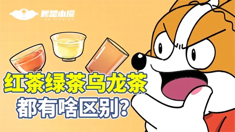 红茶绿茶乌龙茶,都有啥区别?