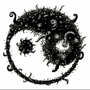 天白仙 