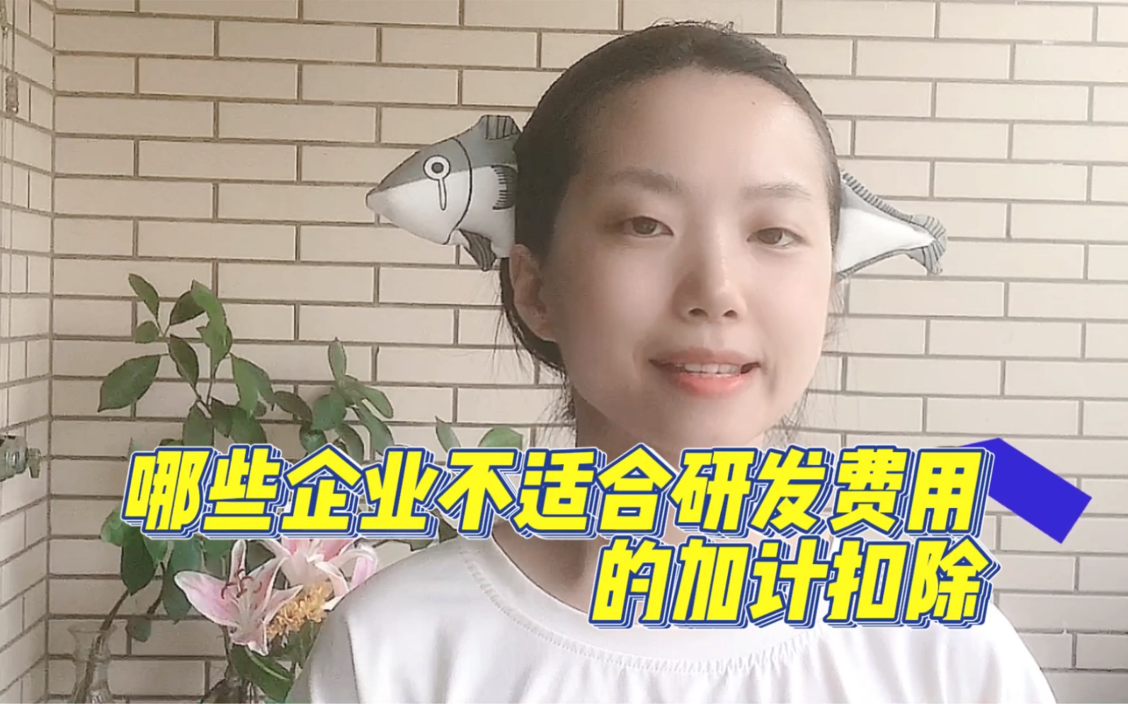 哪些企业不适用于研发费用税前加计扣除?