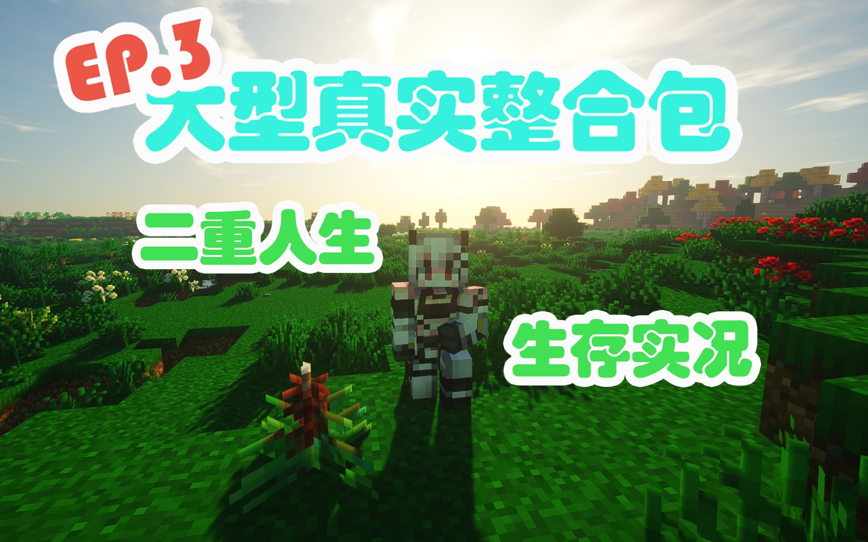 一定要看简介!大型真实向生存整合包:二重人生|【我的世界】|EP3