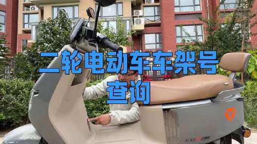 电动车身份大揭秘!车架号查询全攻略,一查便知车辆底细