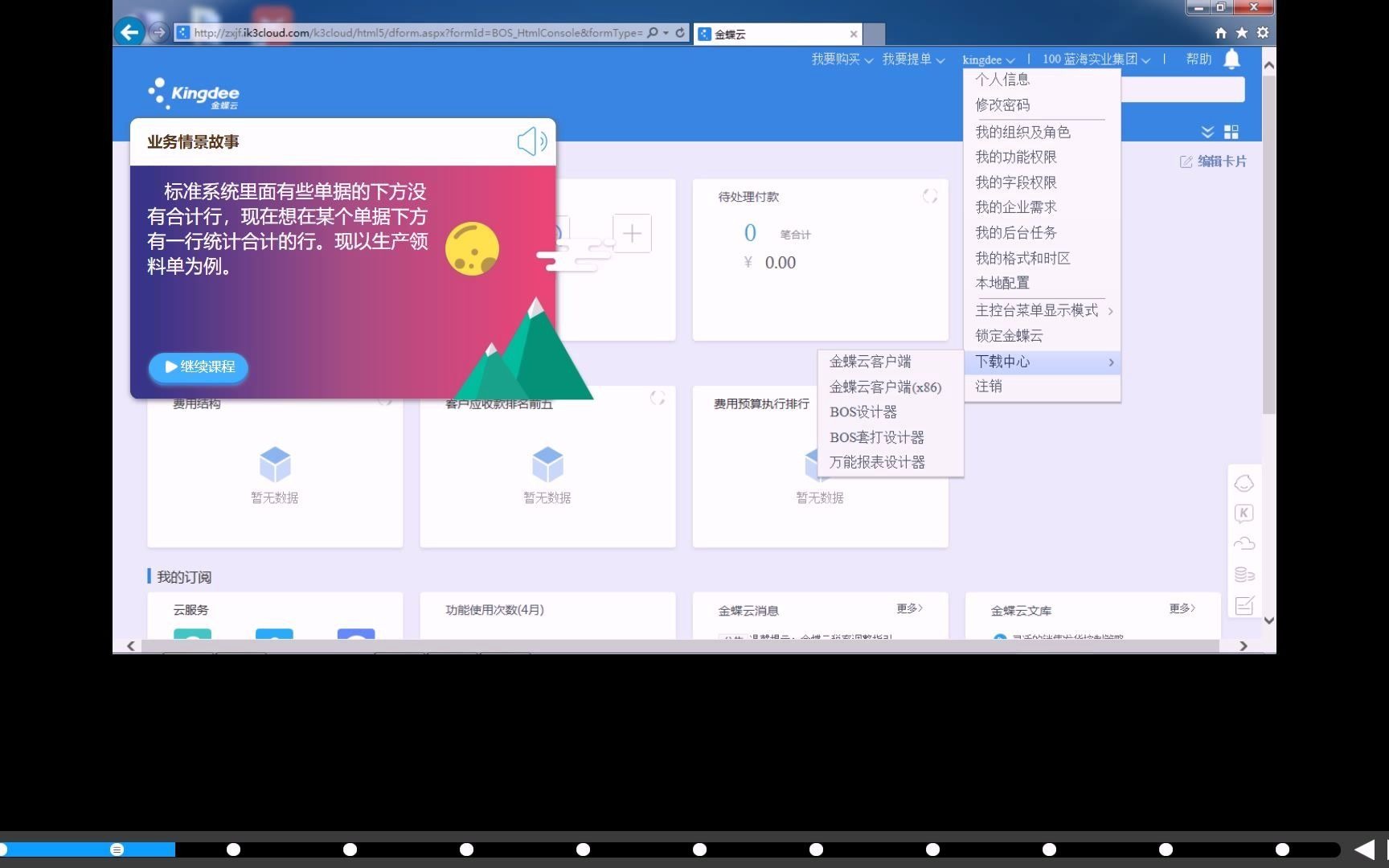 金蝶应用-单据体显示合计行