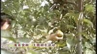 “爱在金秋”采摘主题相亲联谊活动新闻
