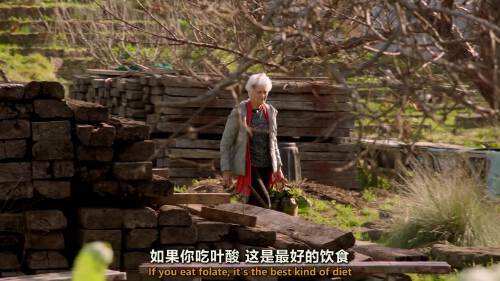 叶酸对预防神经管畸形有何作用?研究显示孕前应摄入足量叶酸!