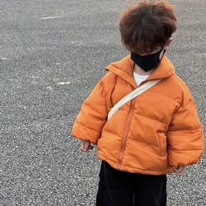 想你张董 