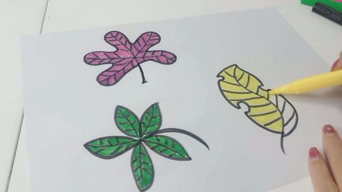 小彩的简笔画:教大家学画树叶,画树再也不单调了~