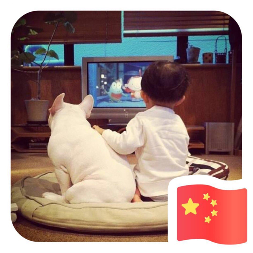 喂猫的米修米修 