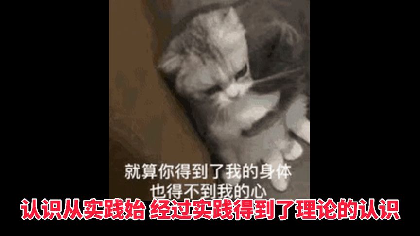 毛主席谈实践与理论的关系