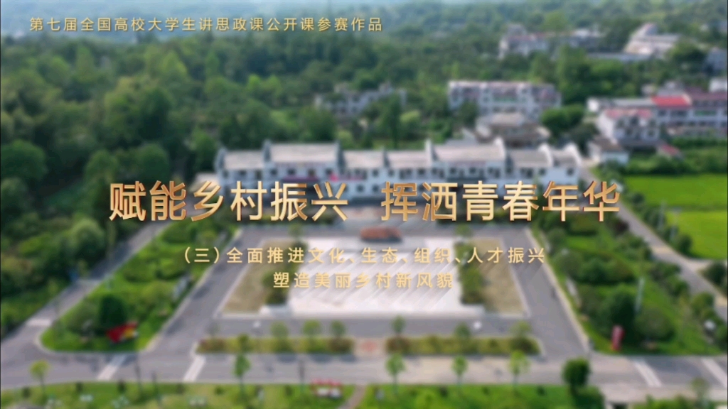 ...年华》(三)全面推进文化、生态、组织、人才振兴 塑造美丽乡村新风貌