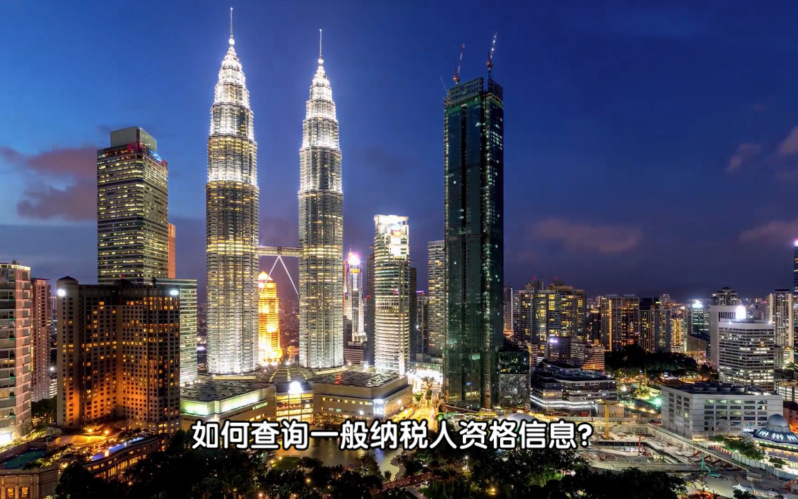 如何查询一般纳税人资格信息?