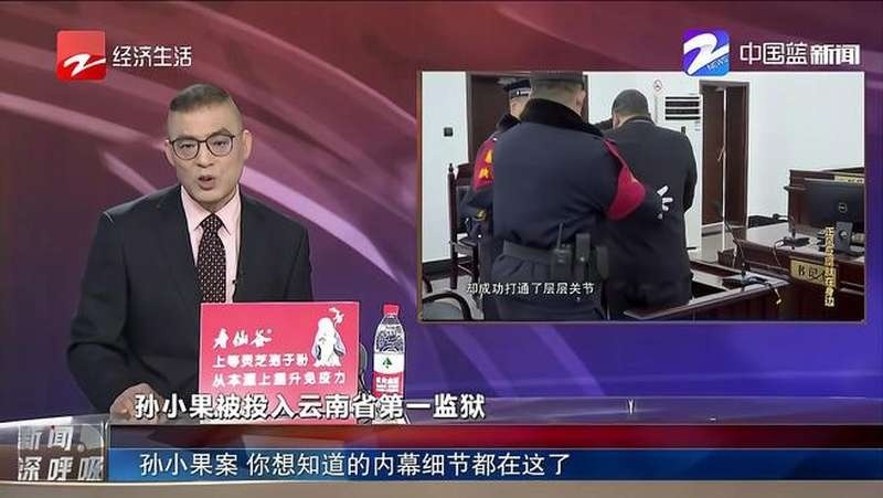 孙小果案 你想知道的内幕细节都在这了