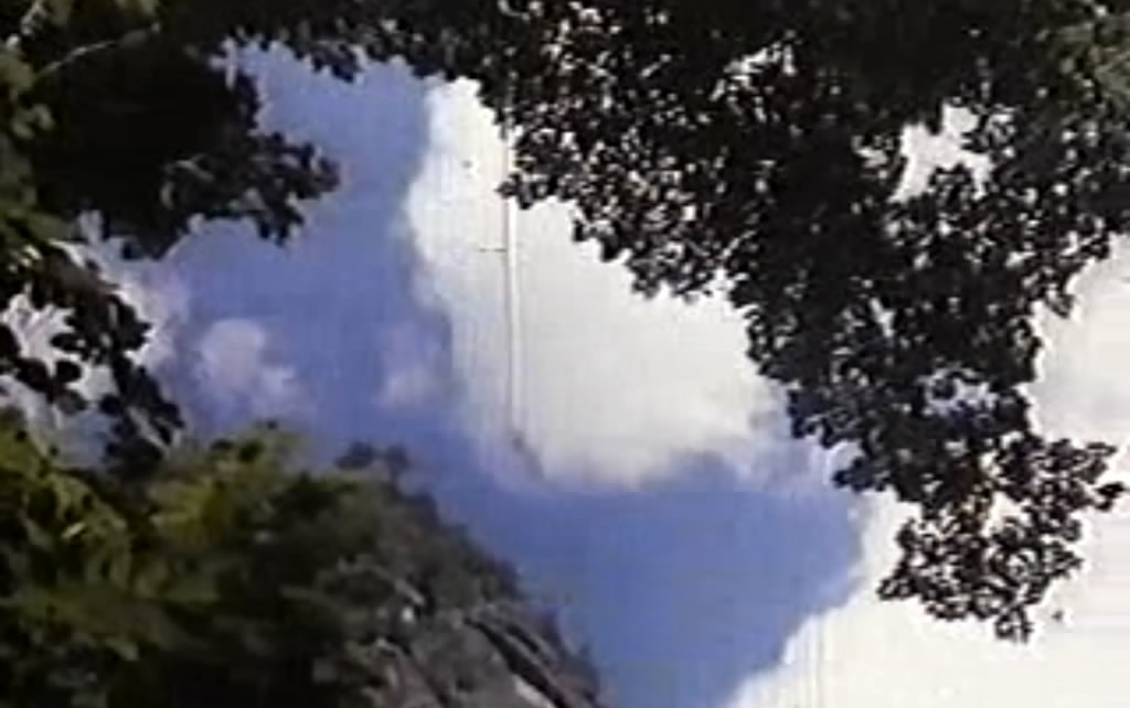 韩国公益广告·我们永远的庭园(1982)中文字幕