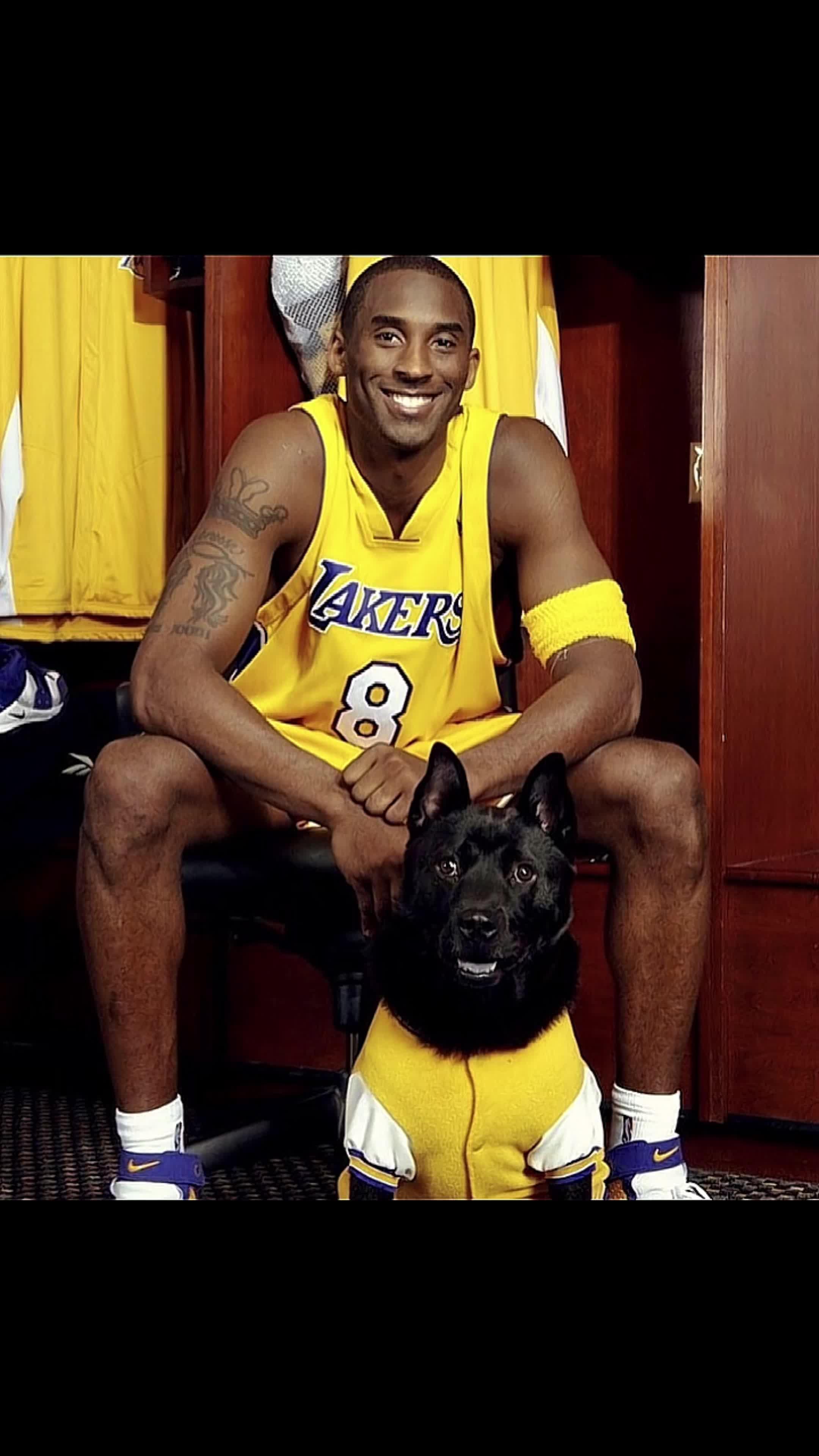 篮球:信念坚定,目标明确,勇往直前